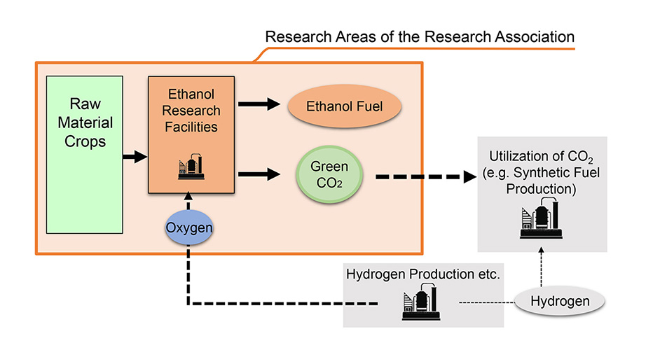 Toyota an Forschungsverbund zur Bioethanol-Herstellung beteiligt ...