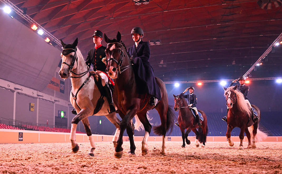 Perfekte Harmonie von Pferd und Mensch - Motor-Freizeit-Trends.at
